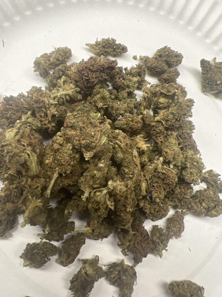 Home | Prime Buds