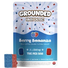 Grounded High Dose Bricks – Berry Bonanza 2000mg Gummies | Prime Buds